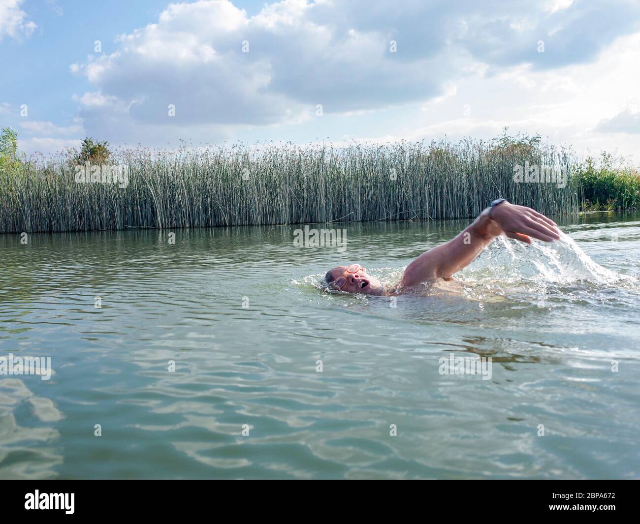 Swimmer in the thames hi-res stock photography and images - Alamy