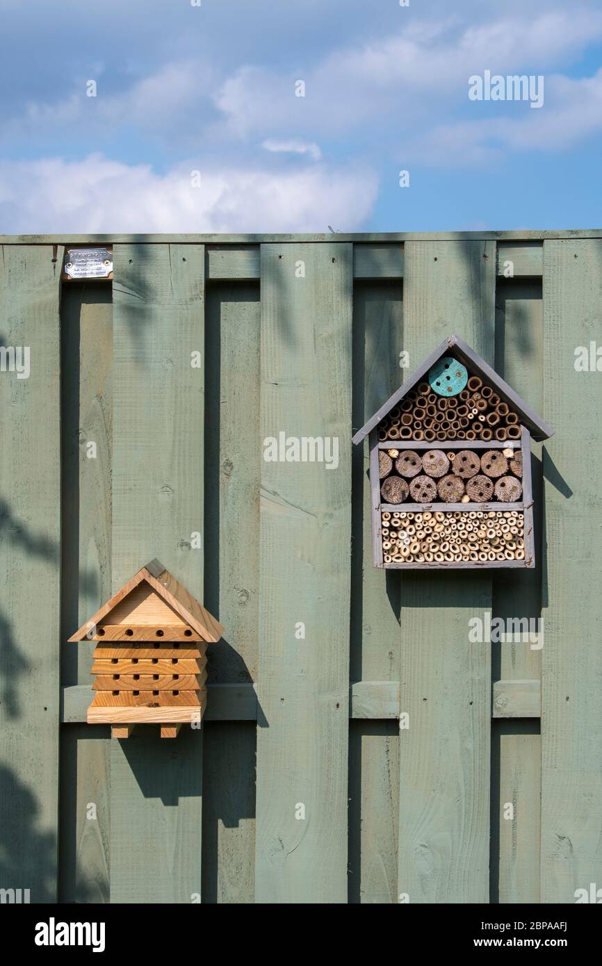 Solitary bee boxes on garden fence Stock Photo - Alamy