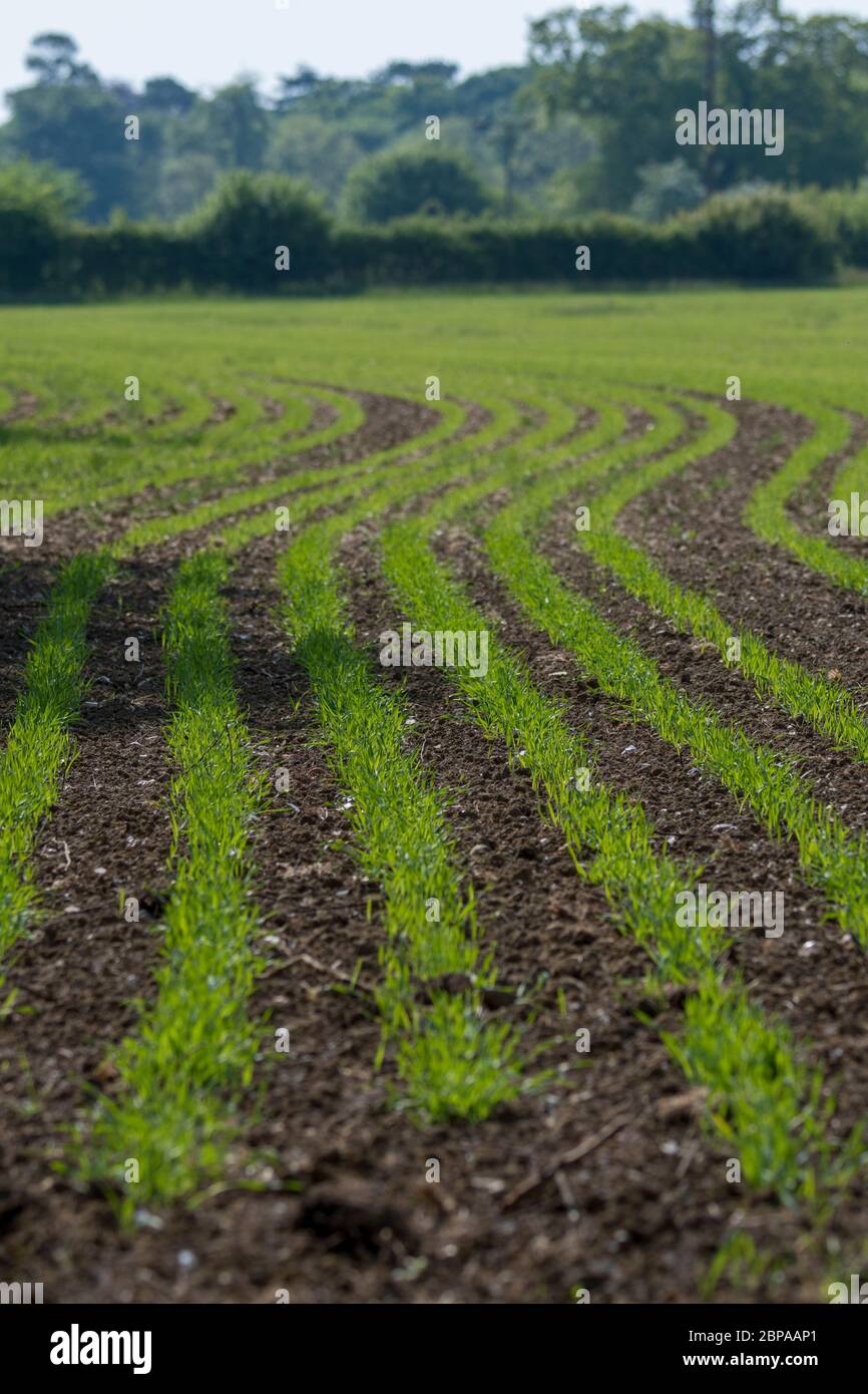 Growing lines hi-res stock photography and images - Alamy