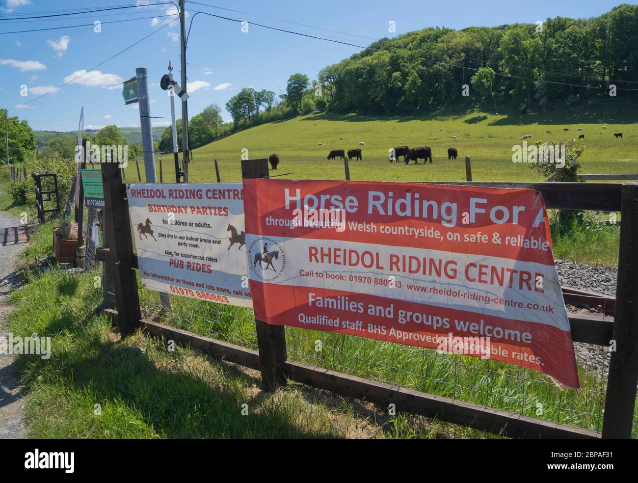 Rheidol riding centre hi-res stock photography and images - Alamy