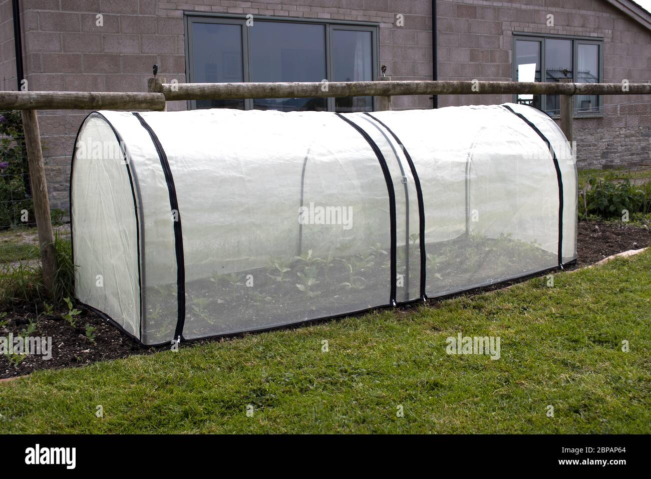 A Haxnicks micromesh grower frame in the vegetable patch with seedlings ...