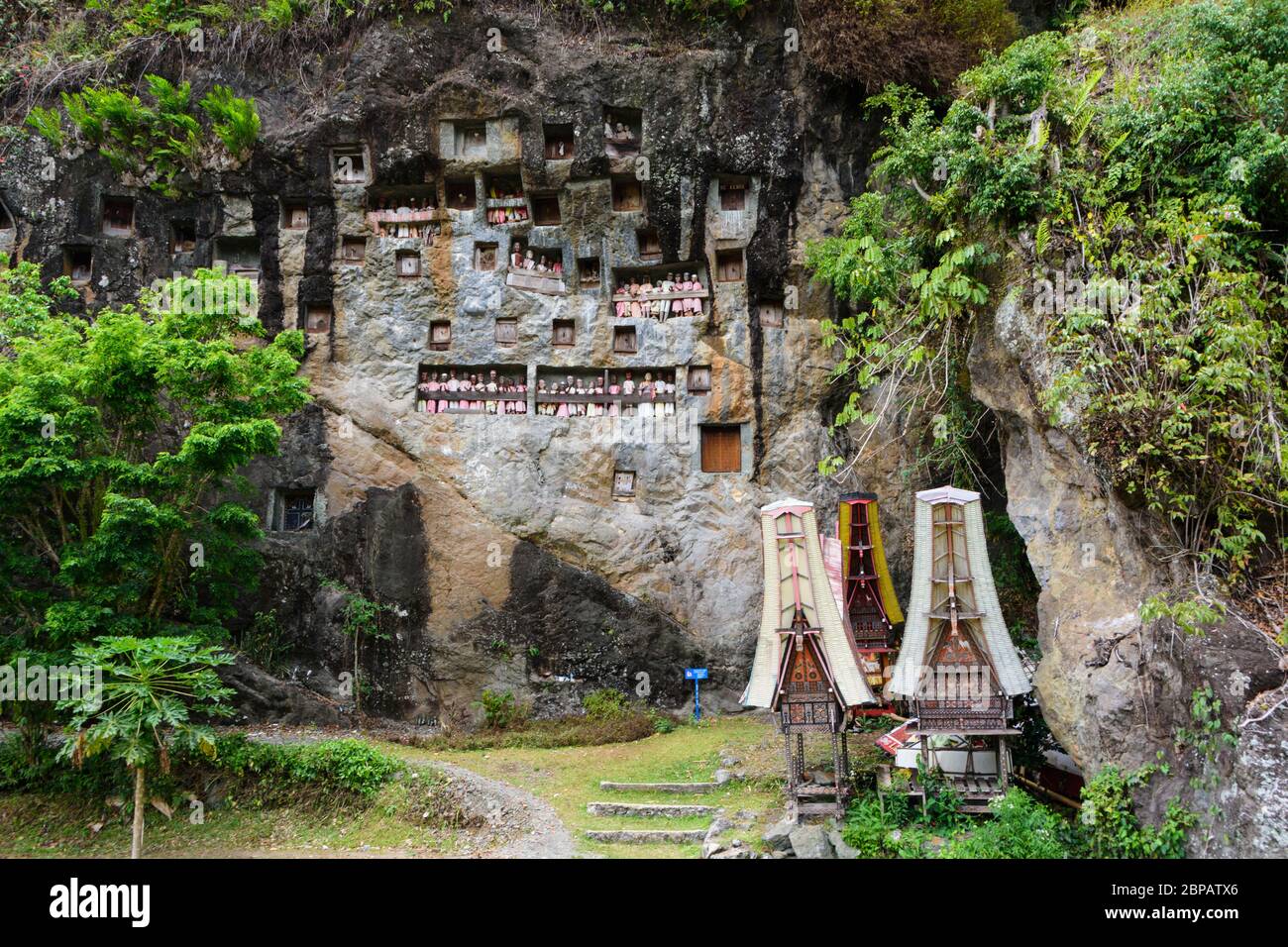 Toraja burial culture hi-res stock photography and images - Alamy
