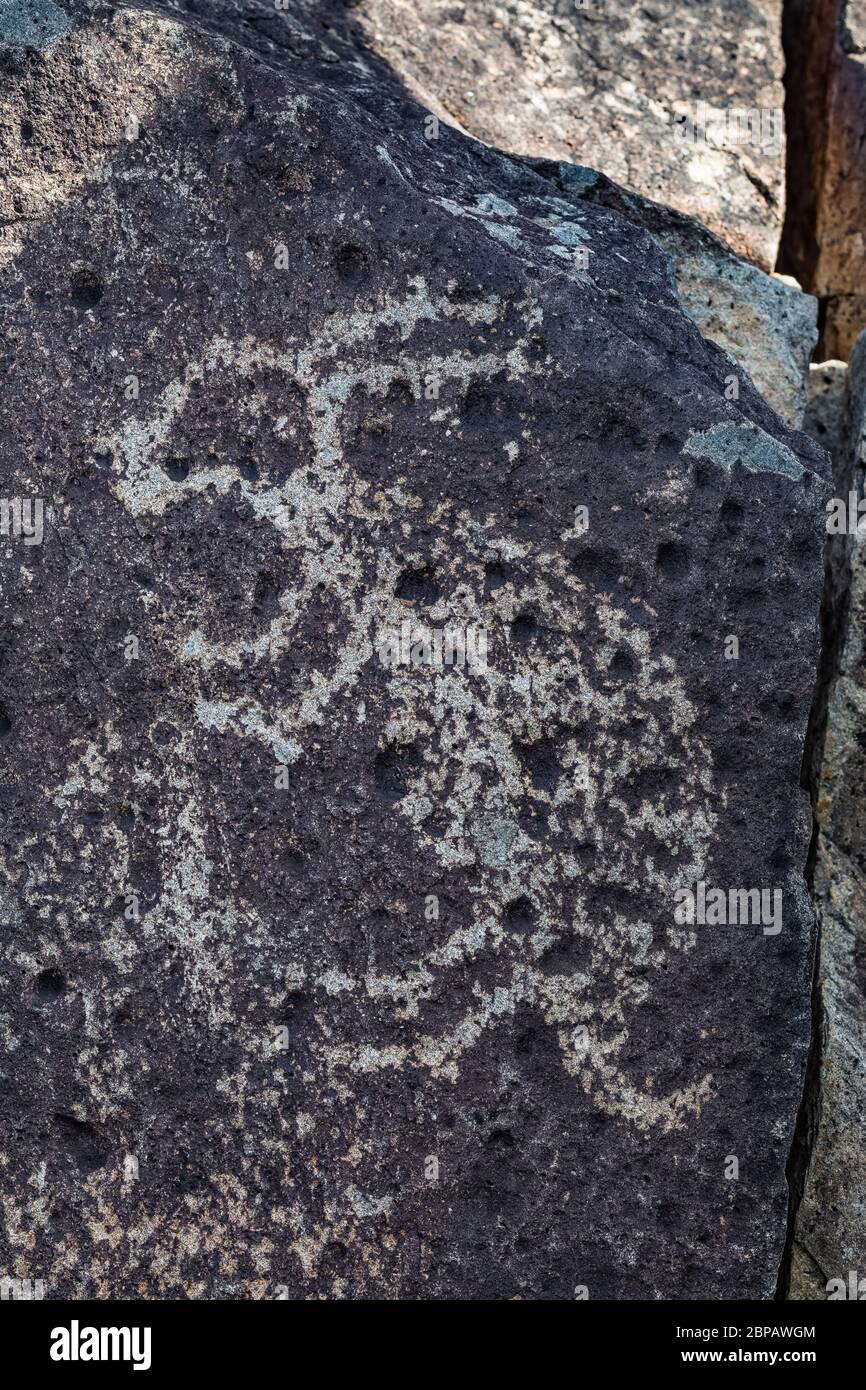 Exquisite example of rock art depicting an animal (not sure which kind ...