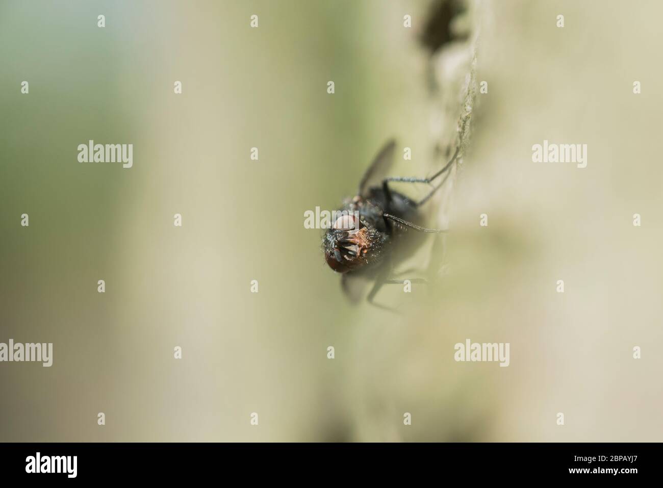 Kingston camera hi-res stock photography and images - Alamy