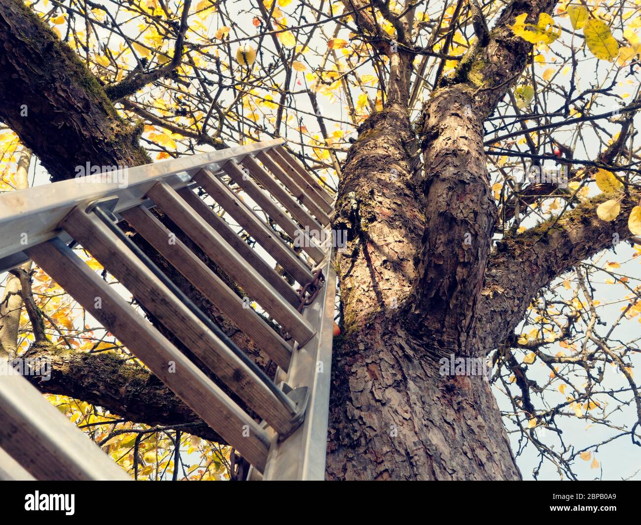 Bottom Of Ladder High Resolution Stock Photography and Images - Alamy