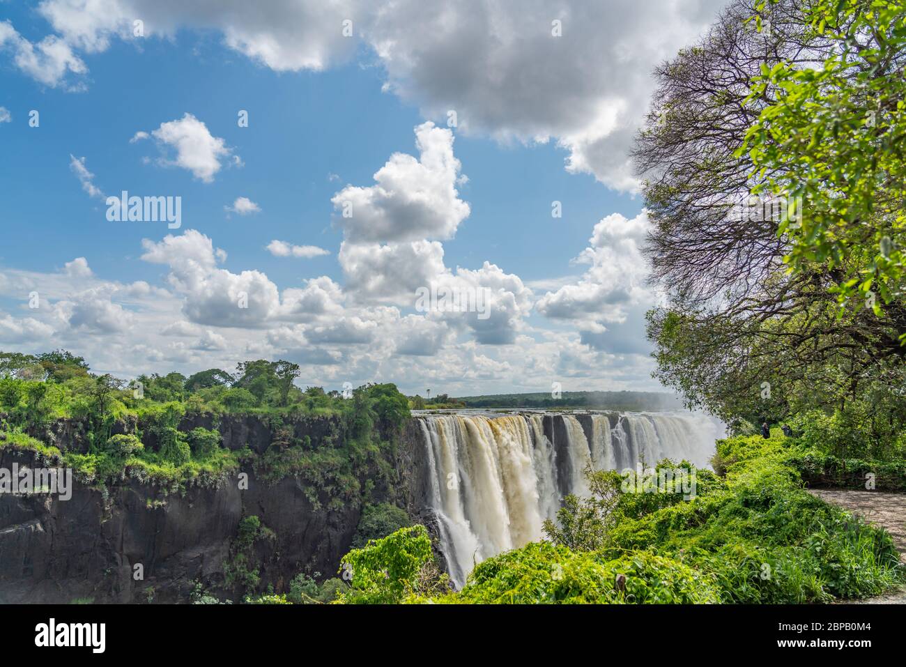 Victoria falls rainforest zimbabwe hi-res stock photography and images ...