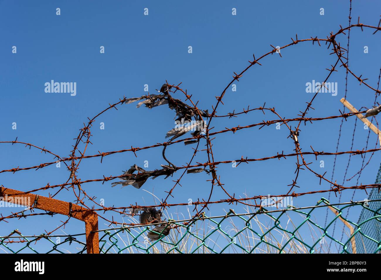 Close up of razor wire and barbed wire fence Stock Photo - Alamy