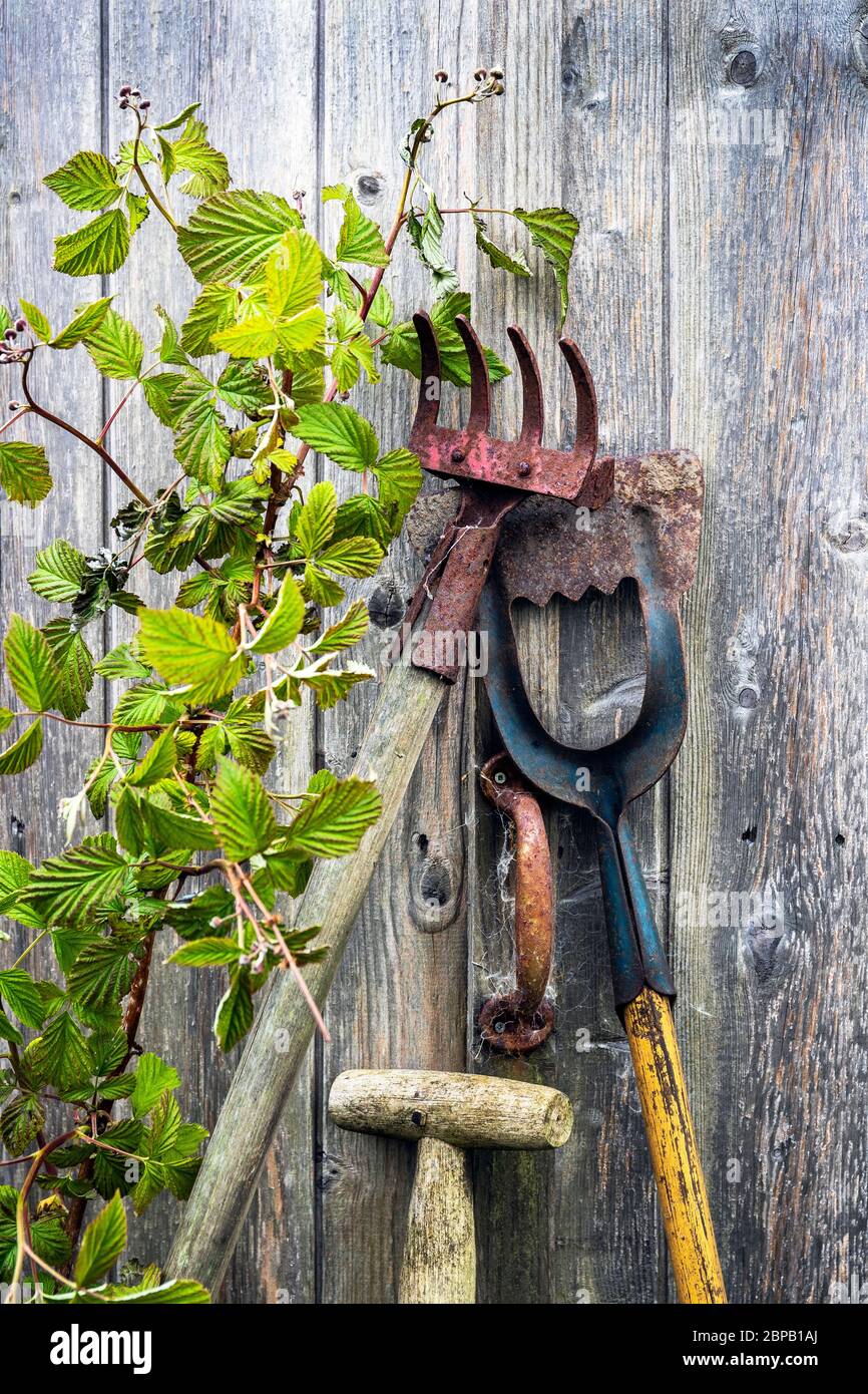 Rusting tools hi-res stock photography and images - Alamy