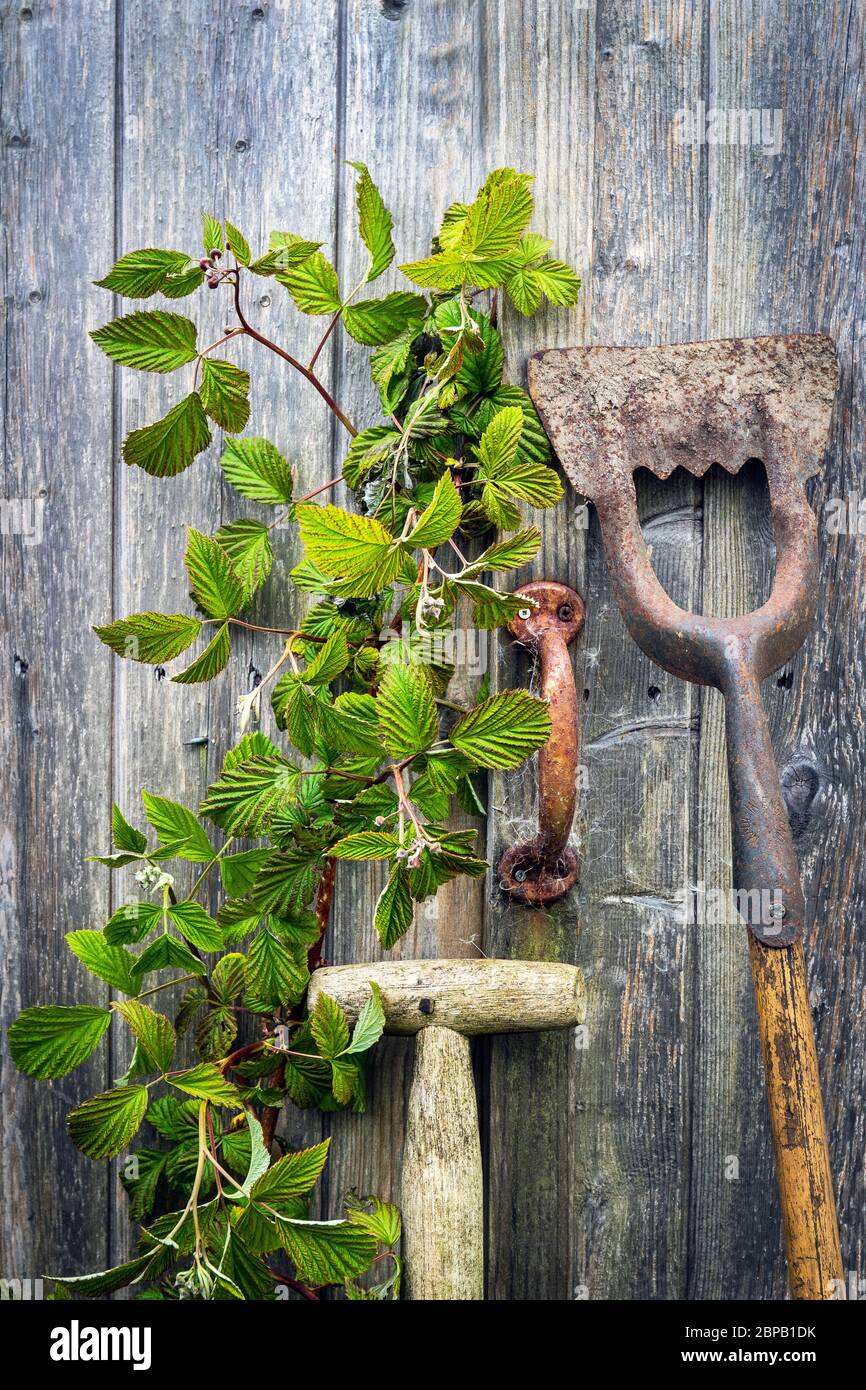 Rusting tools hi-res stock photography and images - Alamy