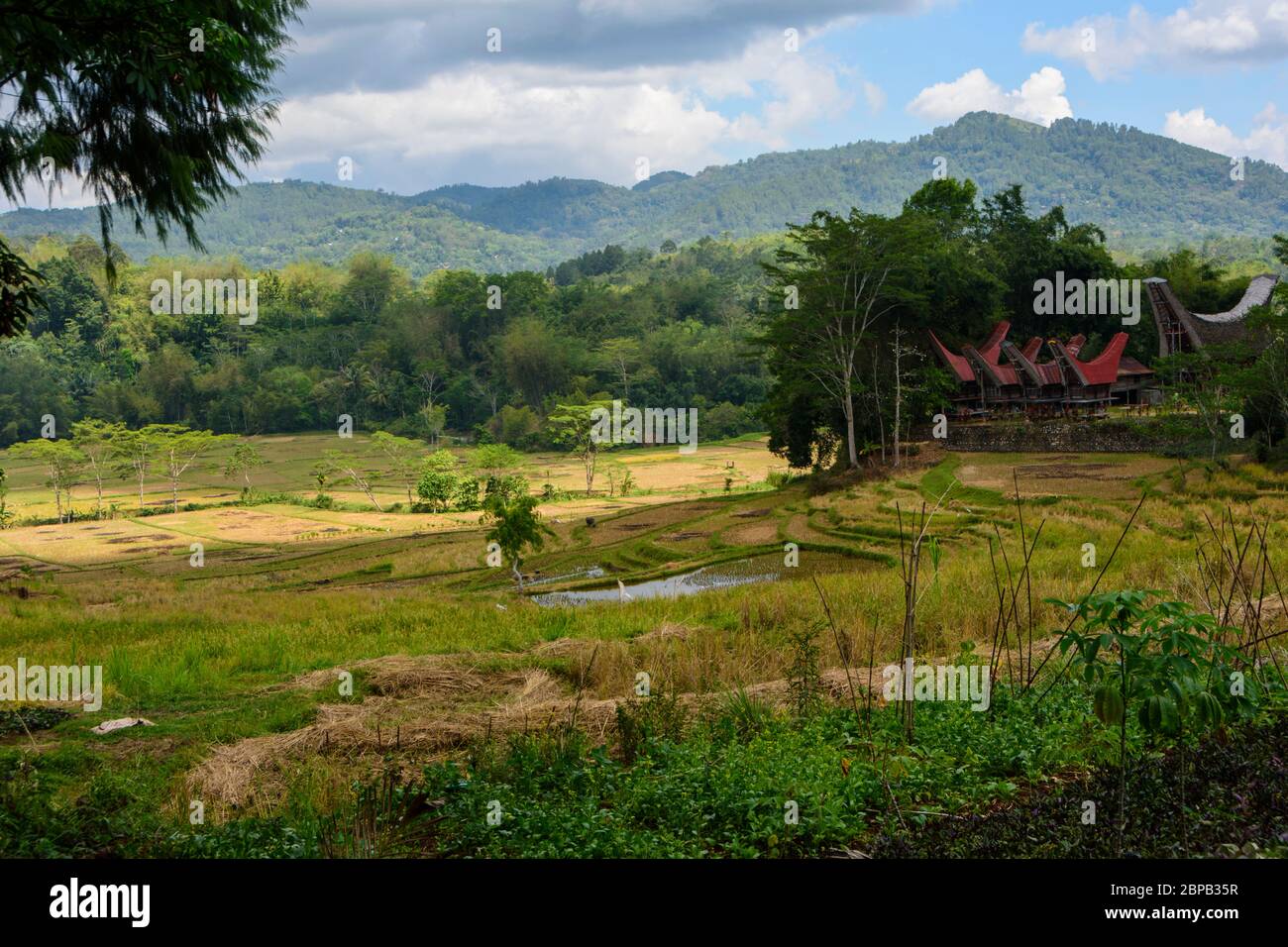 Landscape in Tana Toraja,Sulawesi, Indonesia Stock Photo - Alamy