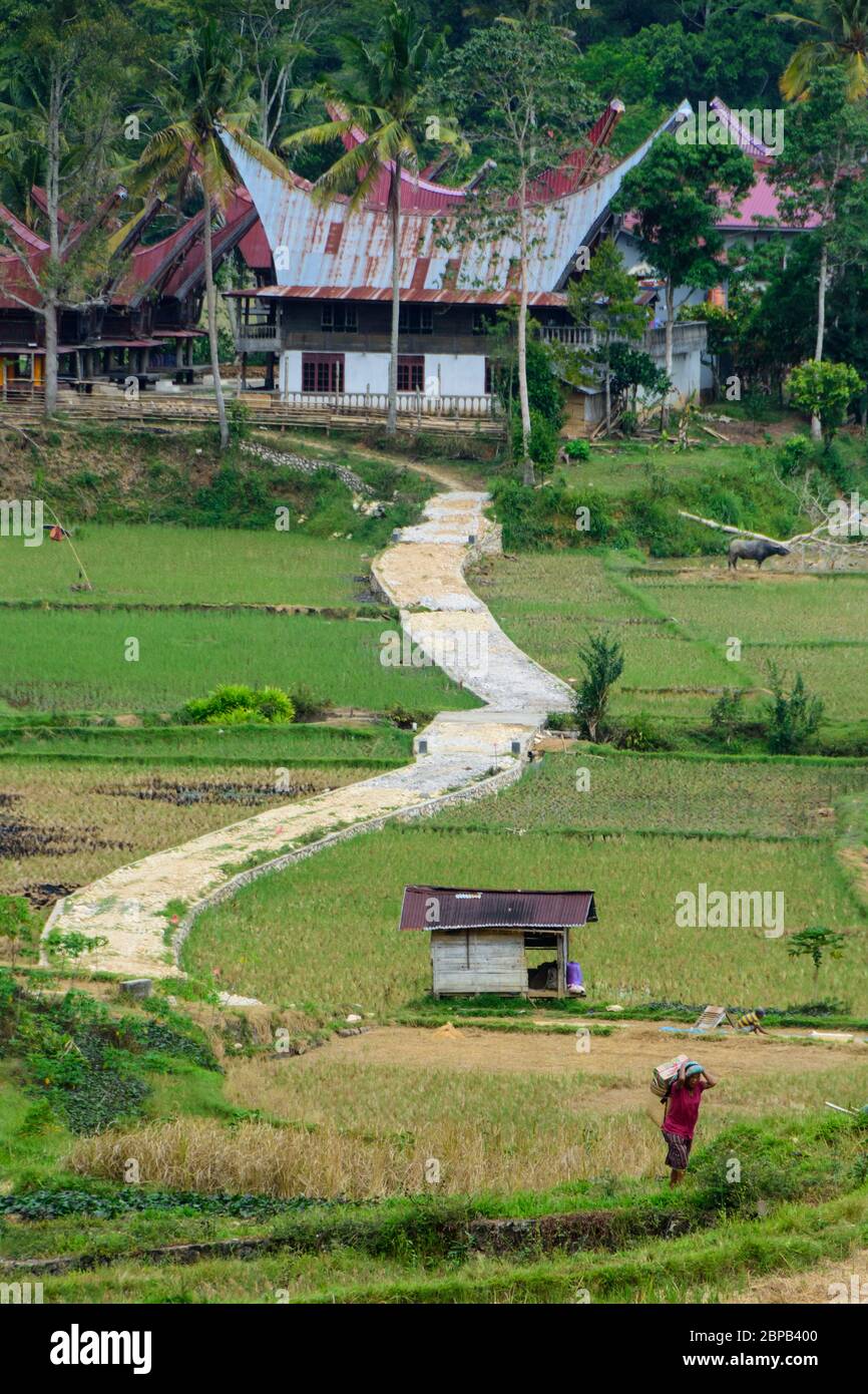 Landscape in Tana Toraja,Sulawesi, Indonesia Stock Photo - Alamy