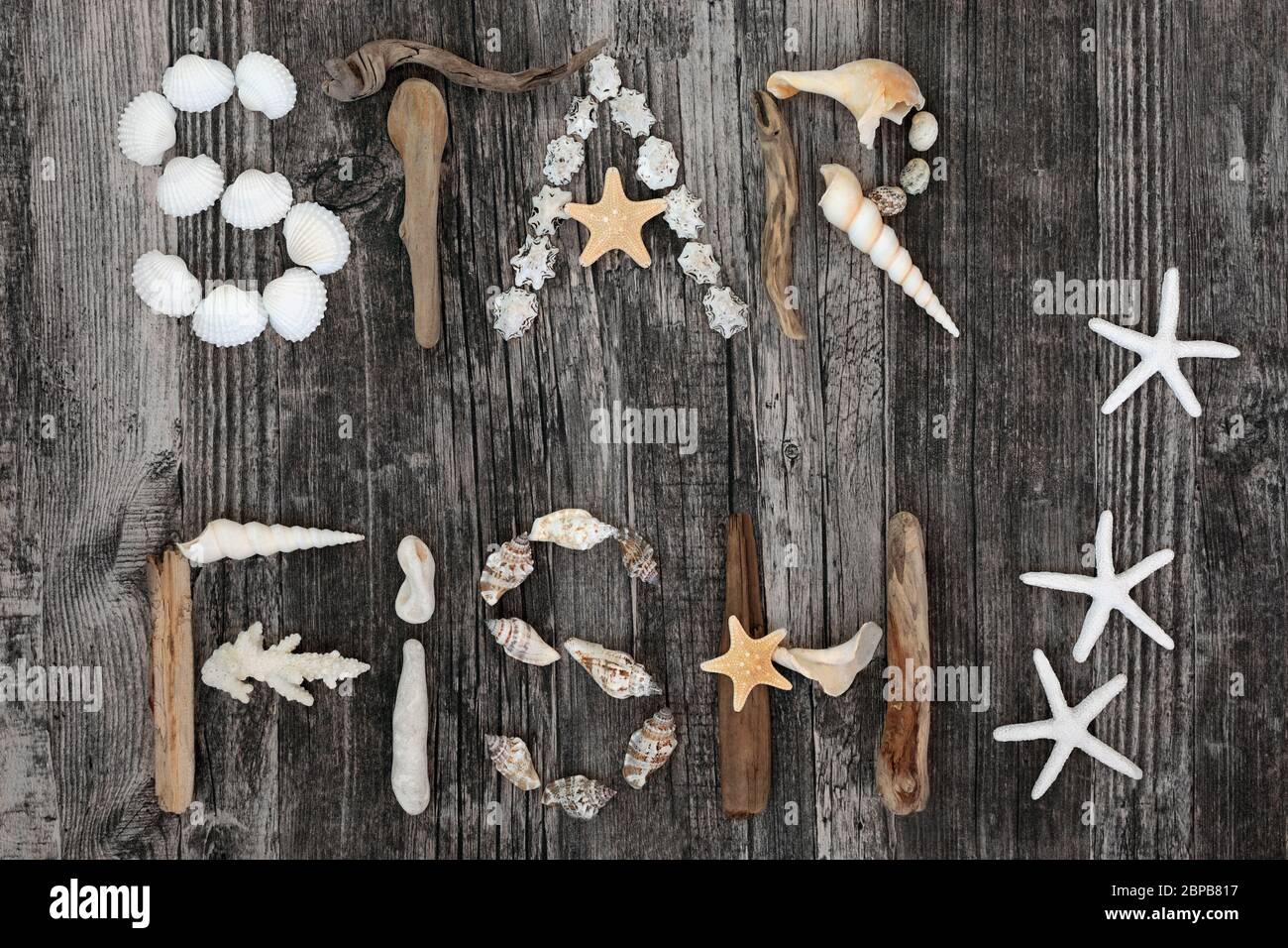 Abstract of seashell, driftwood and pebbles forming the word starfish ...