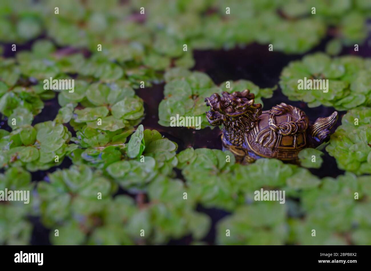 Dragon figure in a pond with green leaves. Decorative dragon in a pond ...