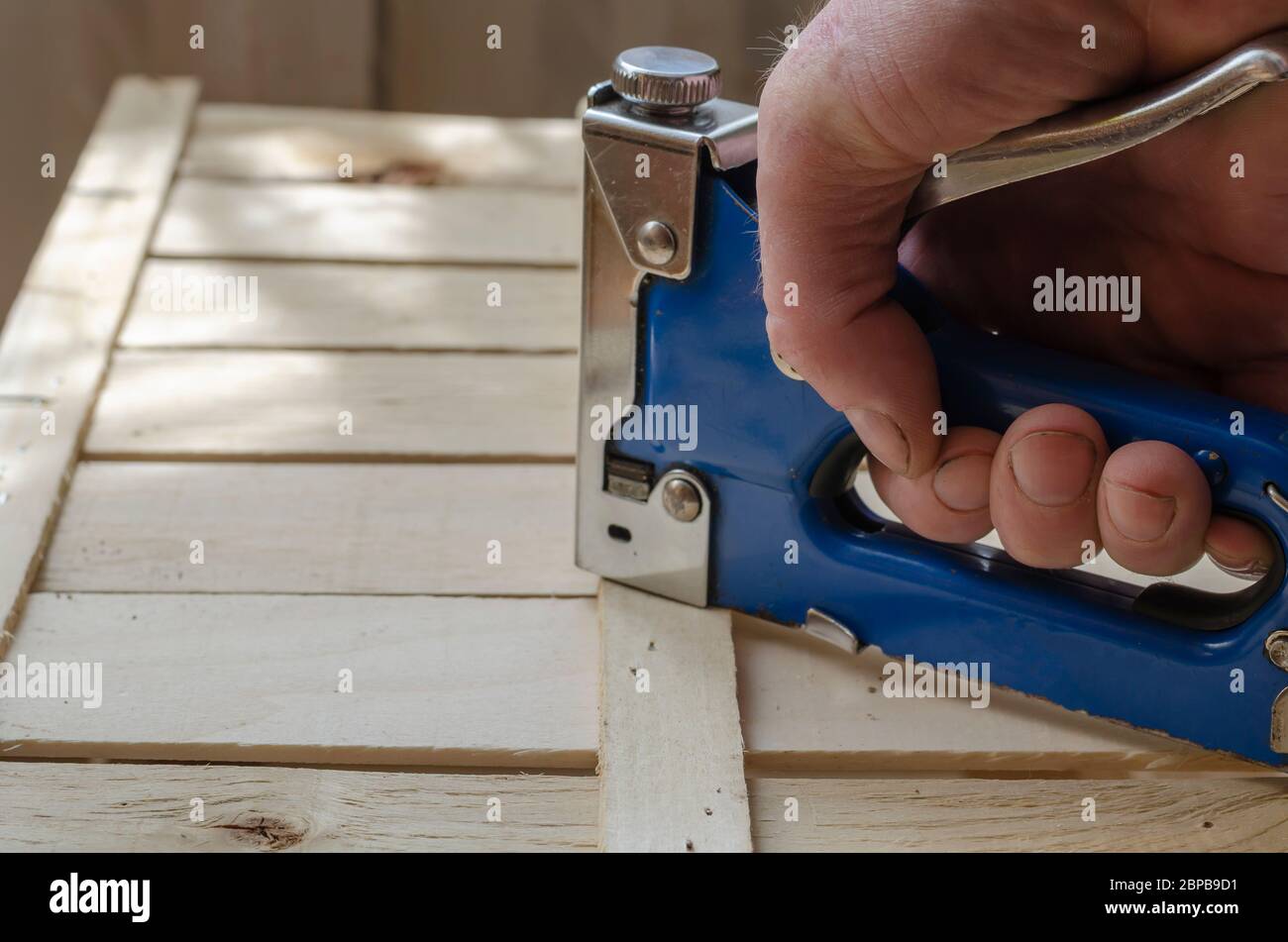 A male hand with an industrial stapler knocks together wooden slats ...