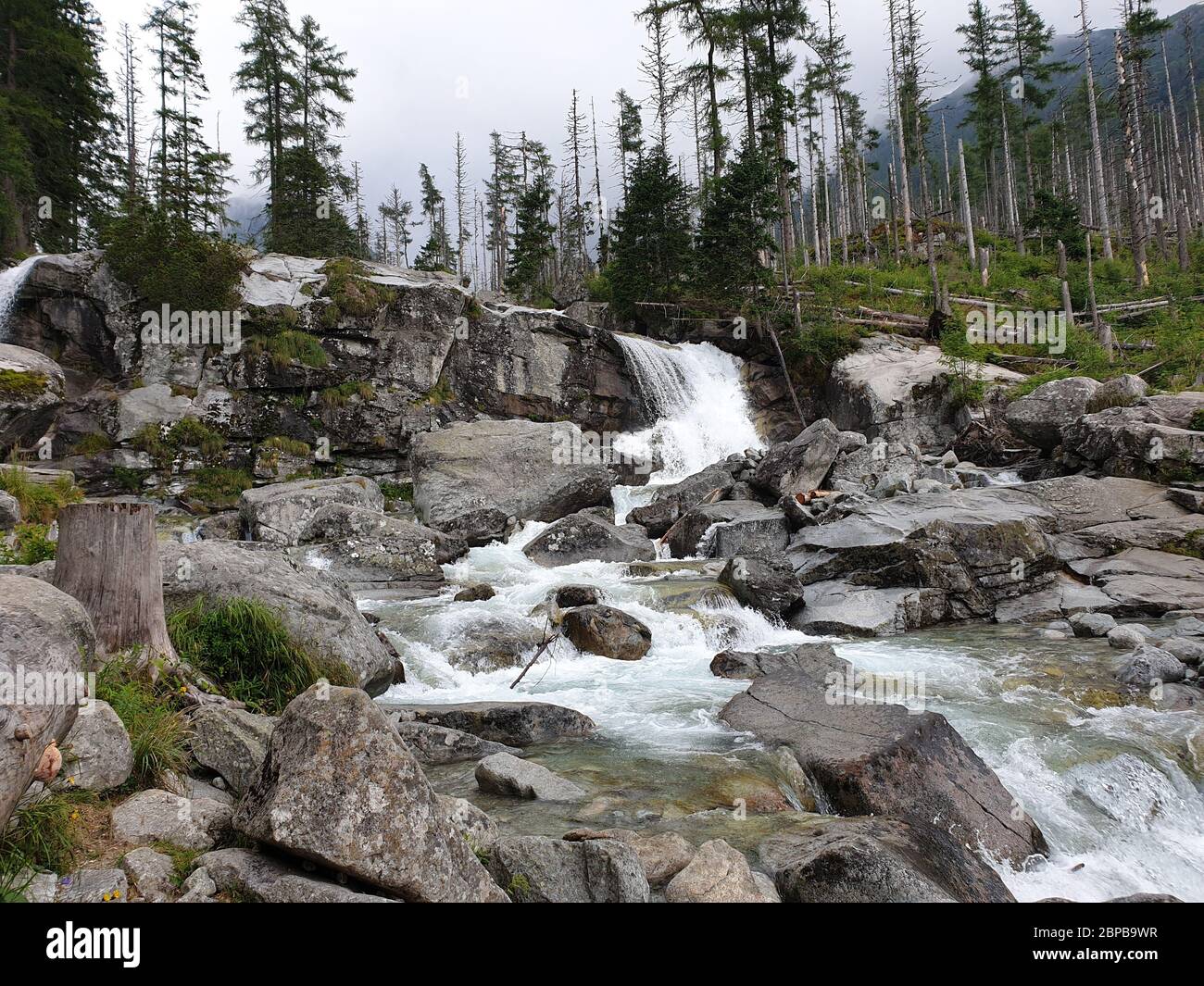 Forest mountain landscapes hi-res stock photography and images - Alamy