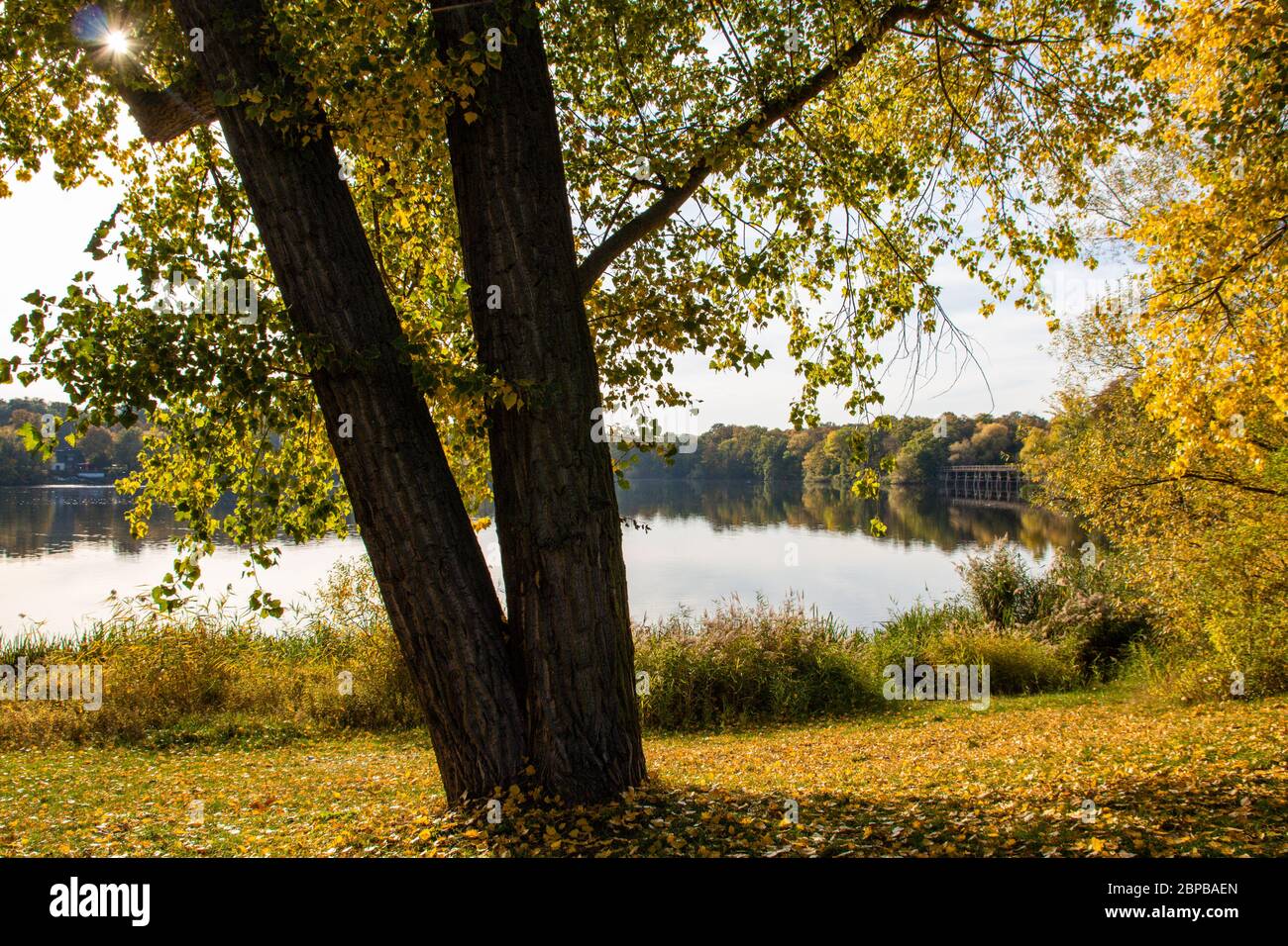 Leipzig river hi-res stock photography and images - Alamy