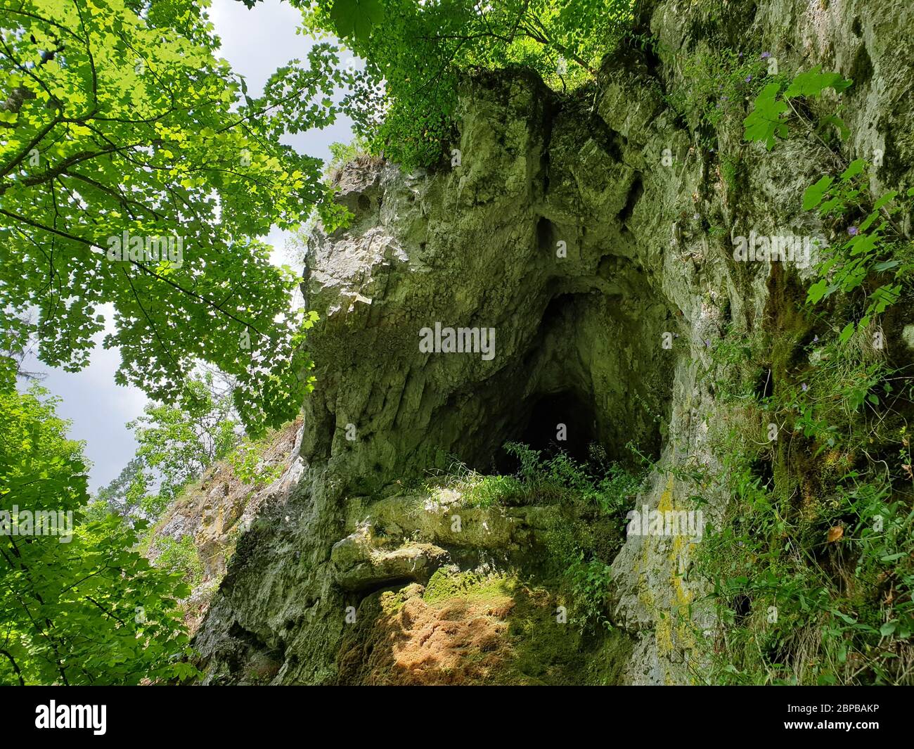 Grass in the mountain cave Stock Photo - Alamy