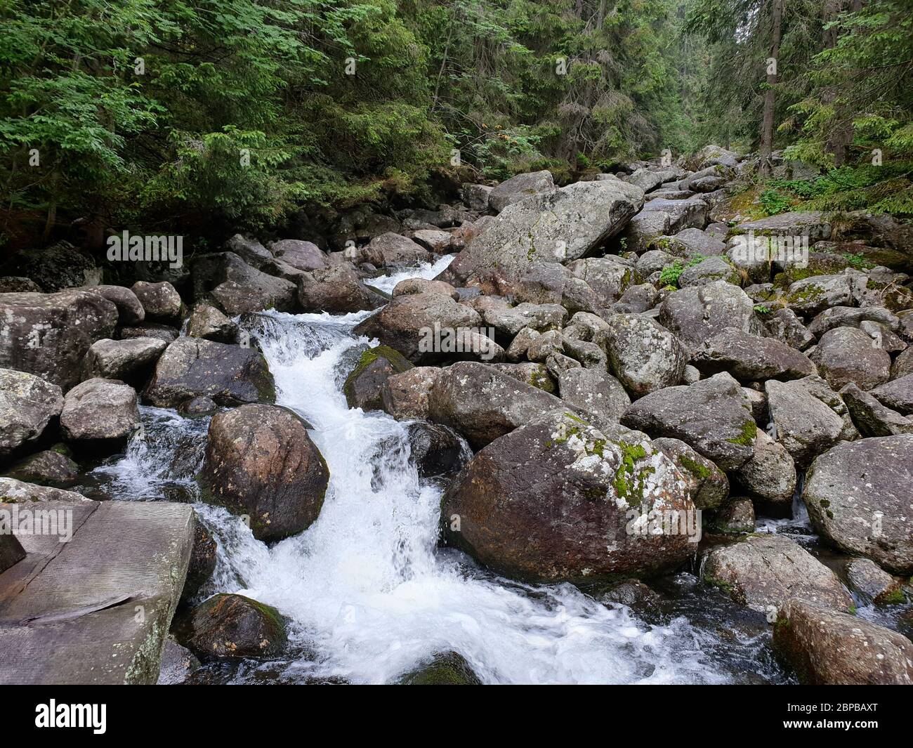 Beautiful landscape summer river many hi-res stock photography and ...