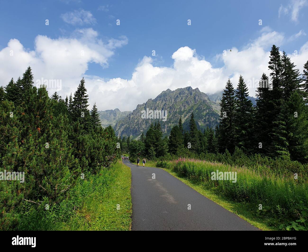 Alps path hi-res stock photography and images - Alamy