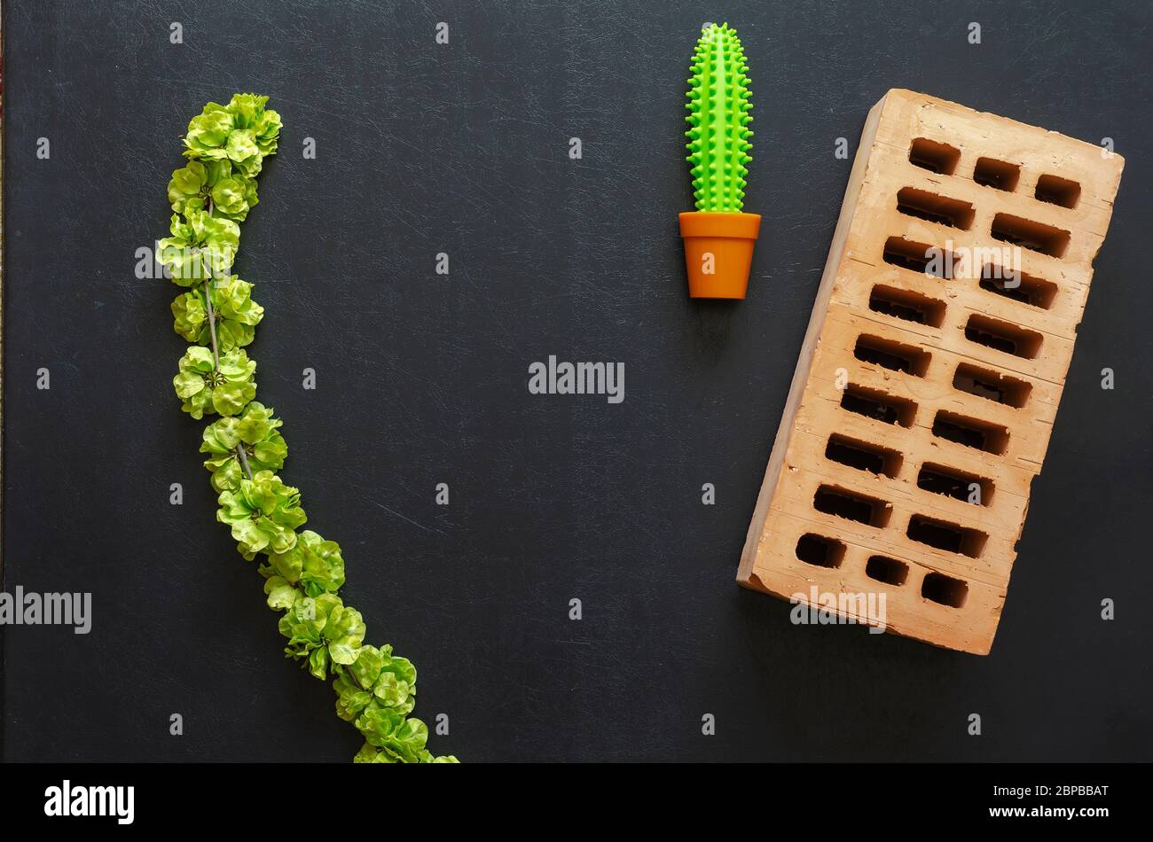 Brick, branch with leaves and a small cactus on black. Red brick next ...
