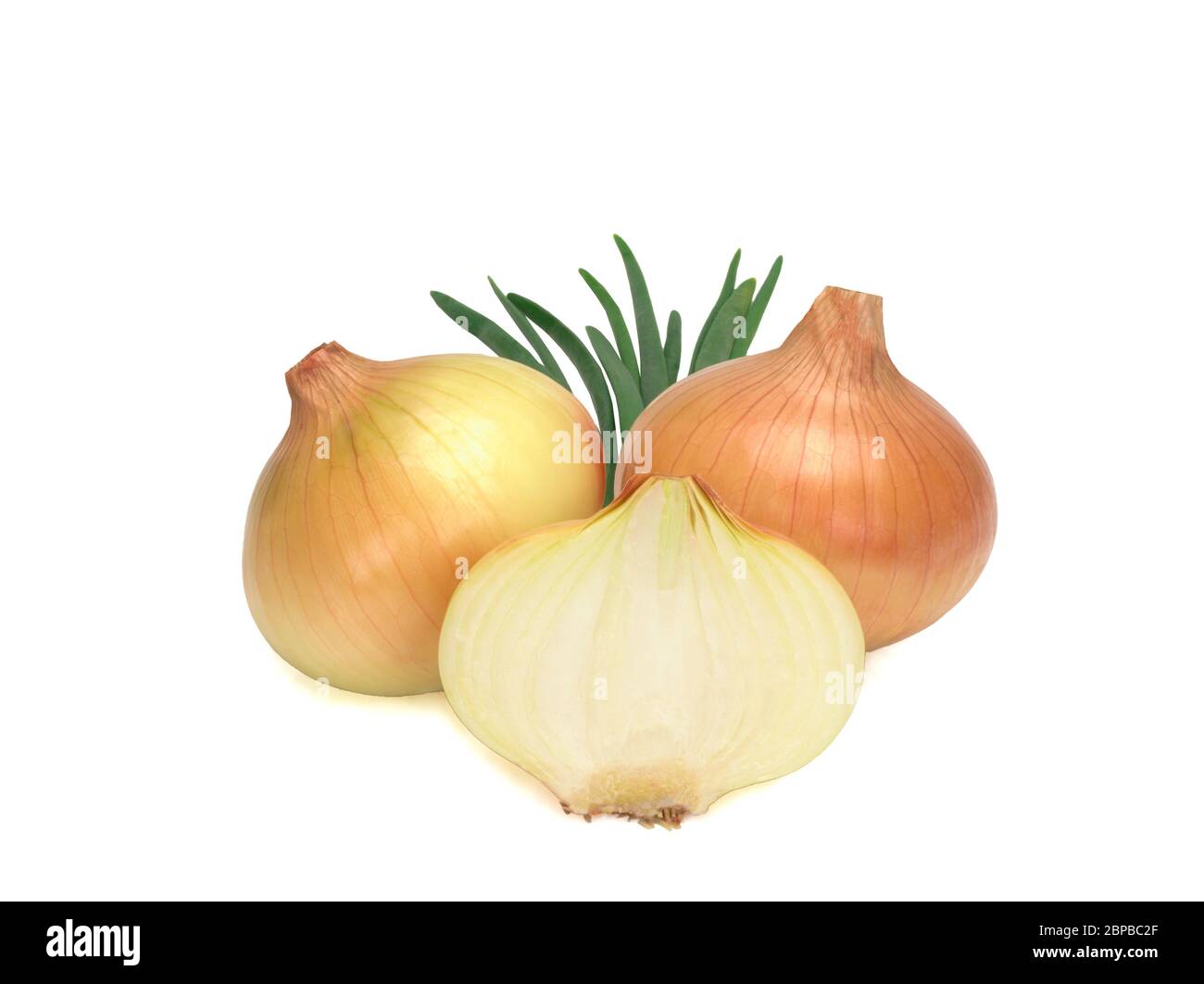 Top view spring onions Cut Out Stock Images & Pictures - Alamy