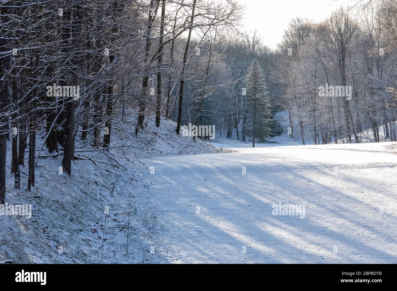 Grand rapids michigan snow hi-res stock photography and images - Alamy