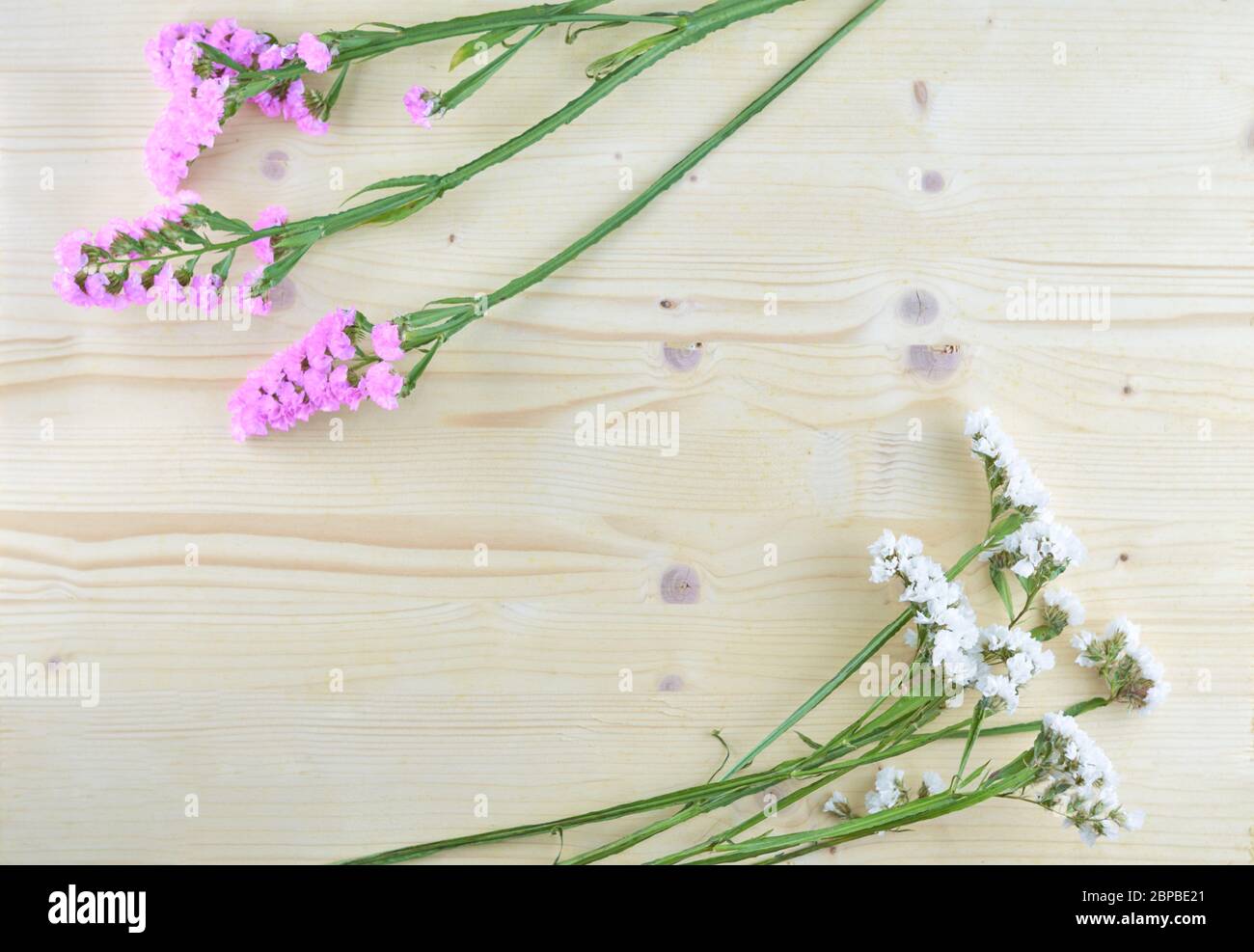 Beautiful bouquet of colorful flowers background from above overhead ...