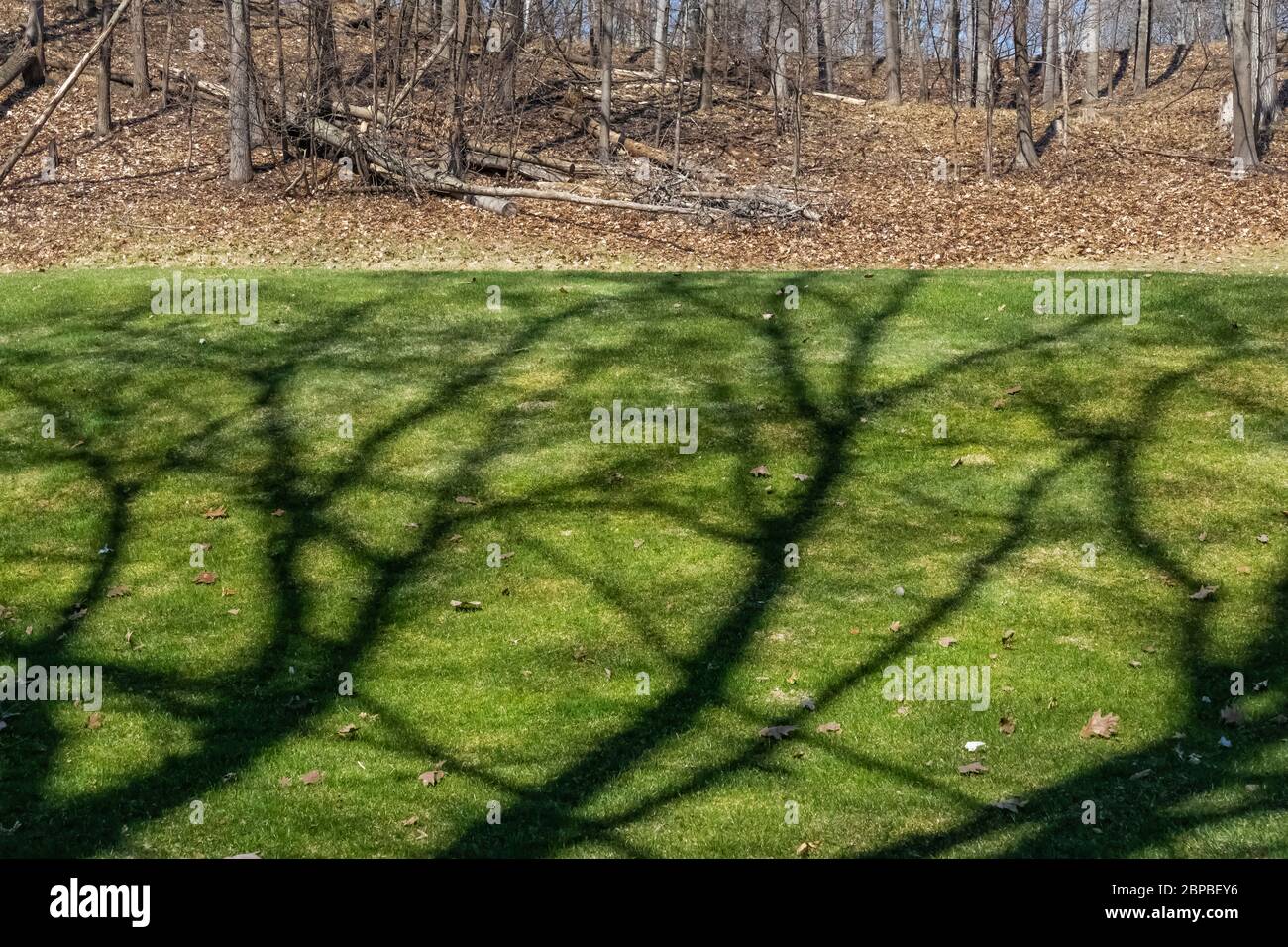 Golf course fairway with spring tree shadows in central Michigan, USA ...