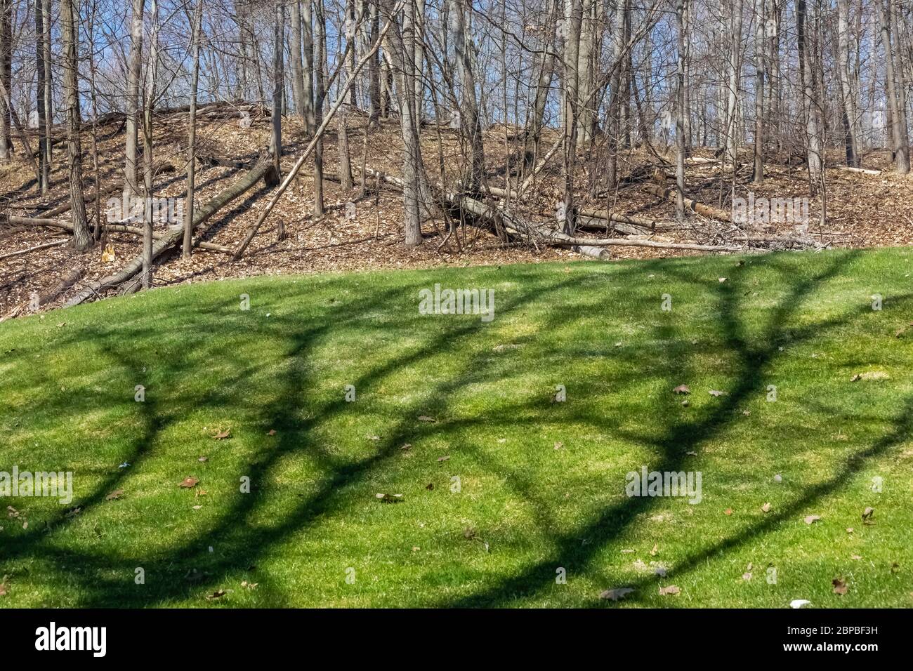 Golf course fairway with spring tree shadows in central Michigan, USA ...