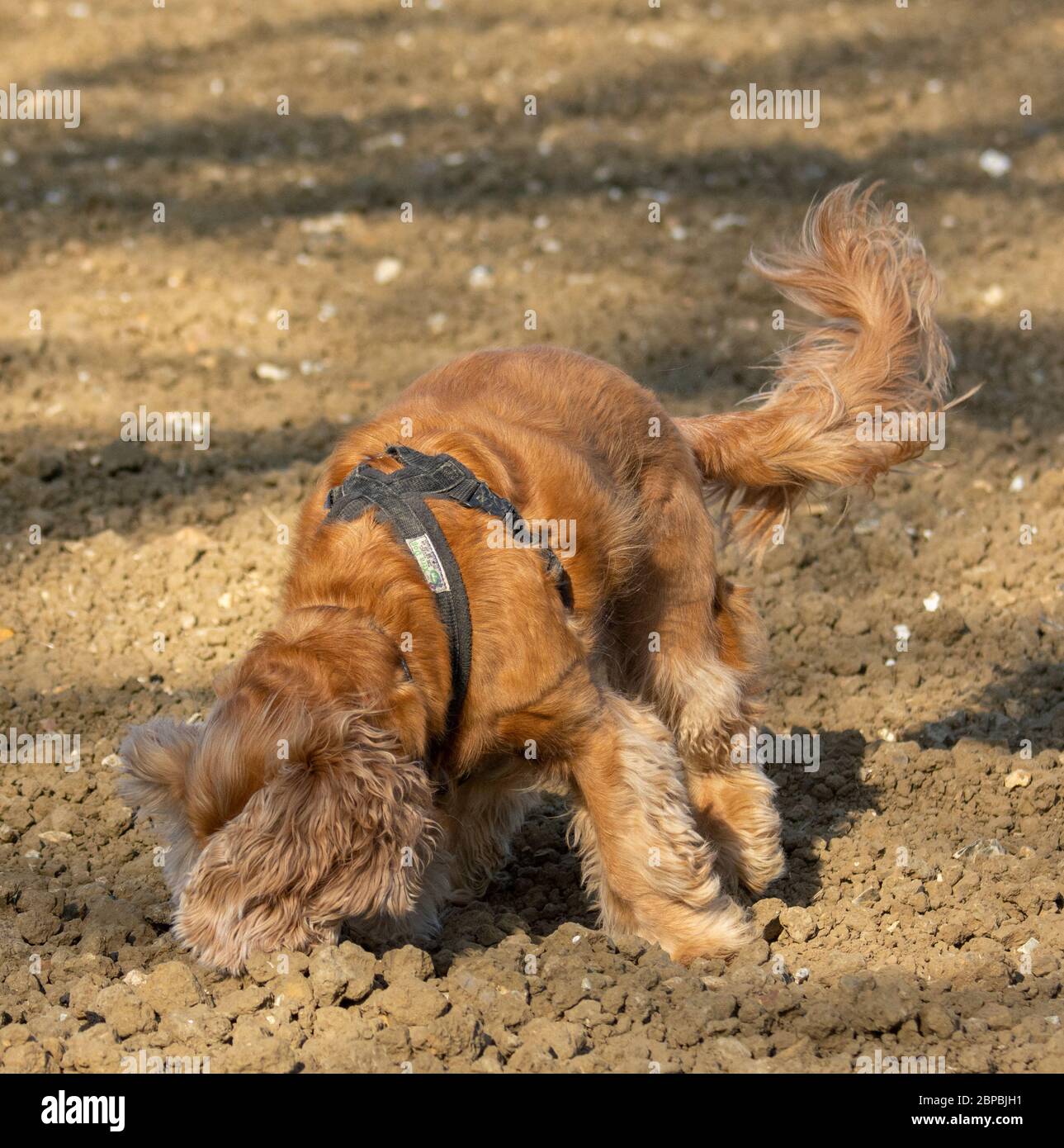 Earth rolling hi-res stock photography and images - Alamy