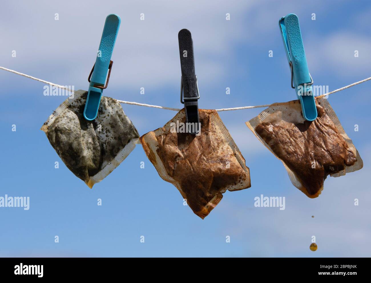 Tea bags drying on a clothes line for re-use Stock Photo - Alamy