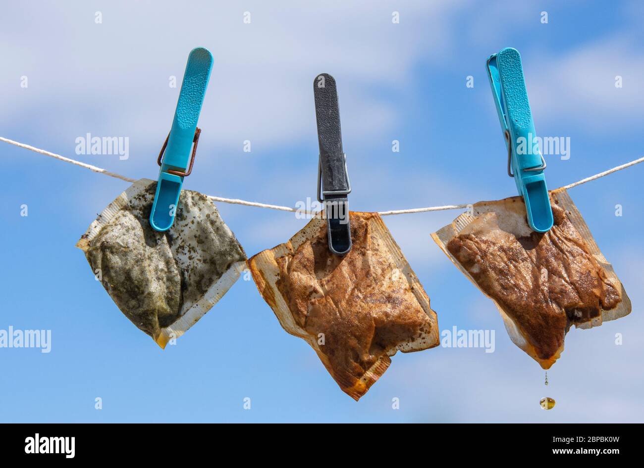 Tea bags drying on a clothes line for re-use Stock Photo - Alamy