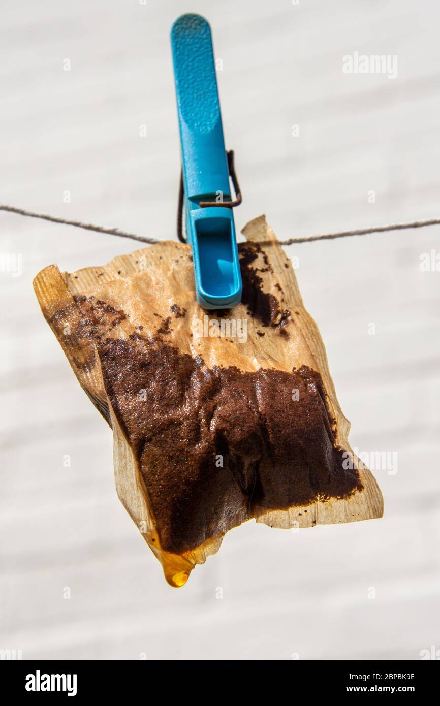 Tea bag drying on a clothes line for re-use Stock Photo - Alamy