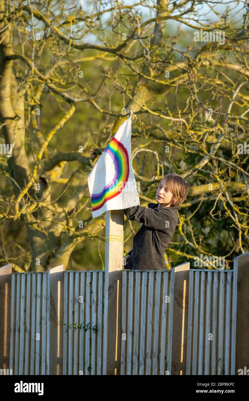 Boy putting up Rainbow flag Stock Photo - Alamy