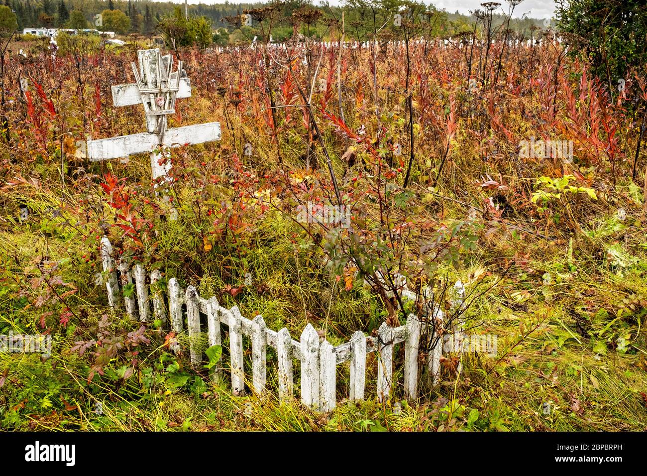 Russian Orthodox crosses mark gravesites in the cemetery surrounding ...