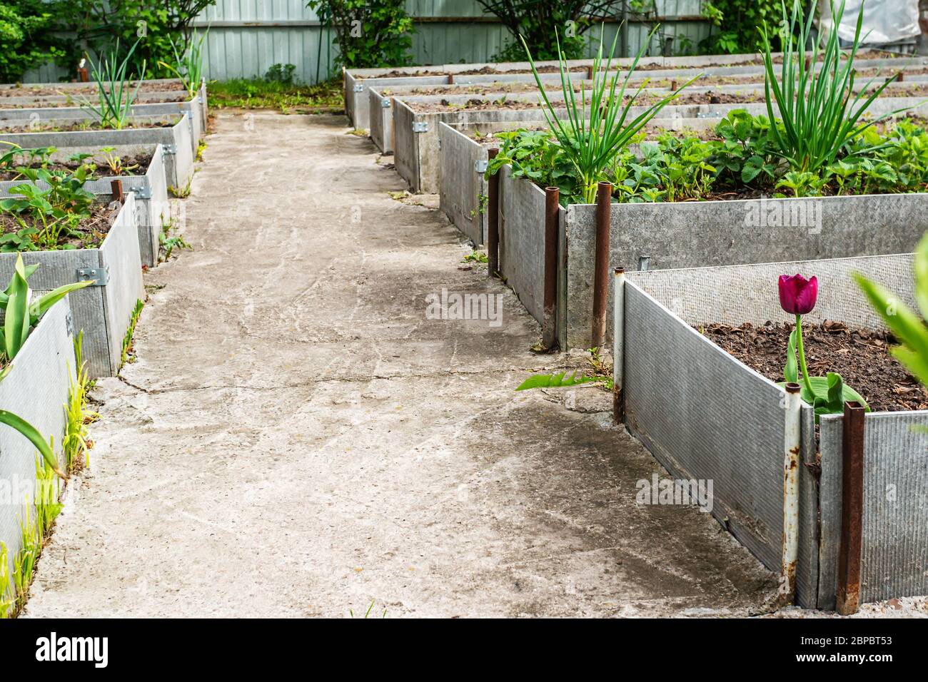 Fixing frame garden gardening green hi-res stock photography and images ...