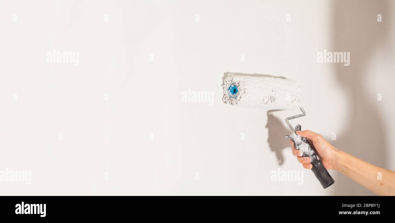 Human hand with large roller of paint begins to paint a white wall ...