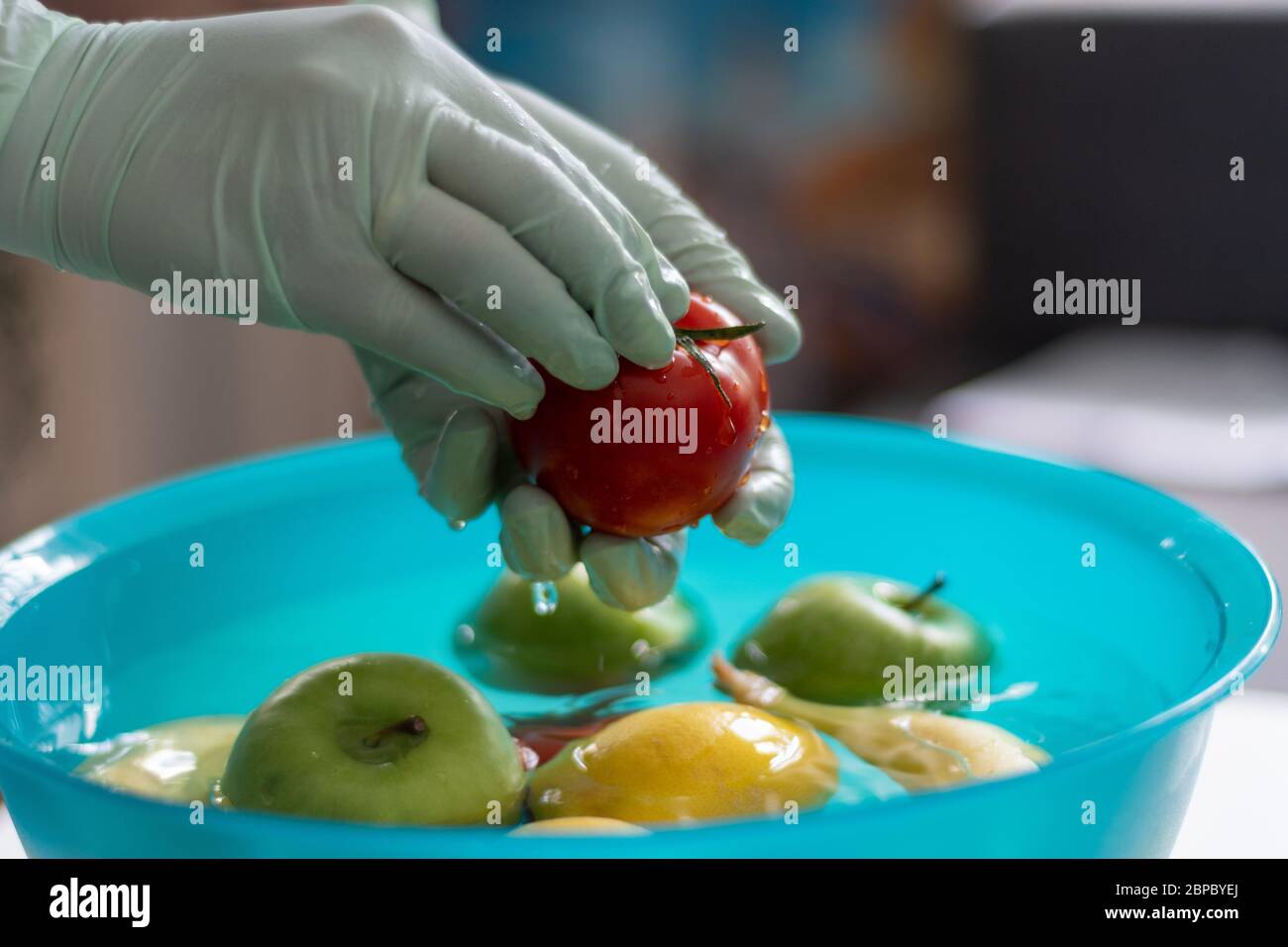 Washing fruits in a bowl with plastic gloves. Fruits are placed on ...