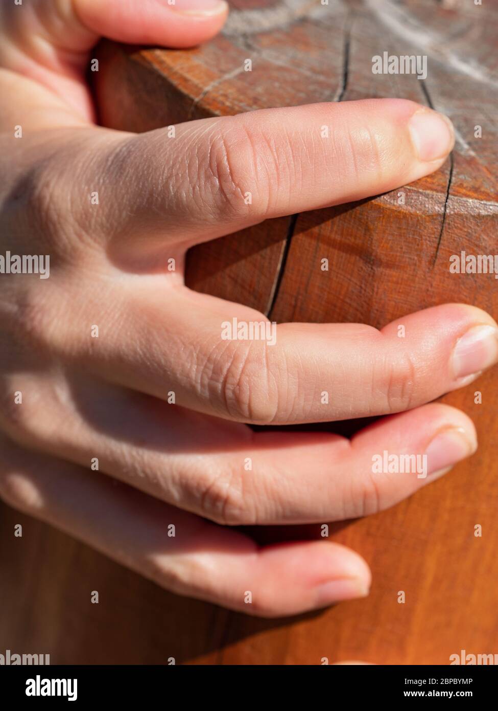 Treehouse building hand hi-res stock photography and images - Alamy
