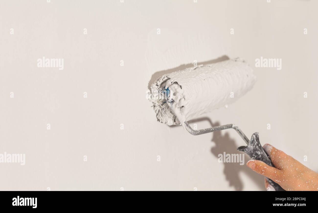 Human hand with large roller of paint begins to paint a white wall ...
