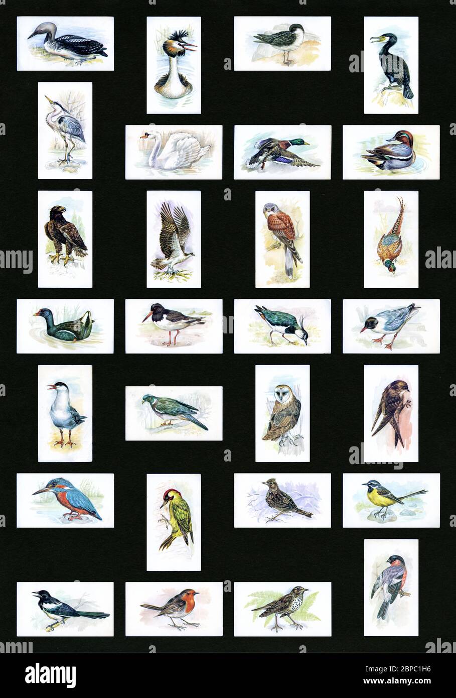 'British Birds Collection' cards (28 from set of 32, 1980, see ...