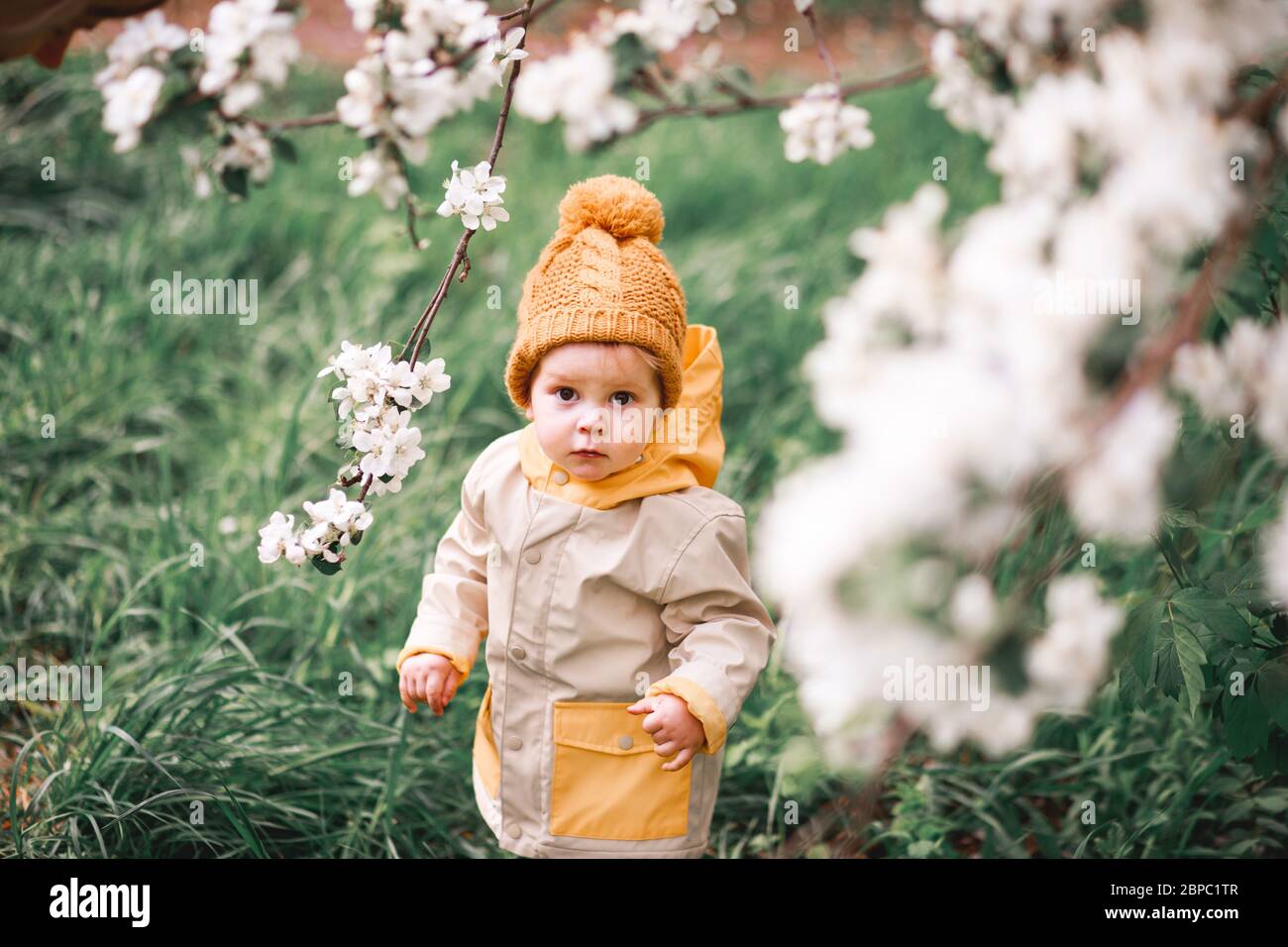 A cute one-year-old boy stands near a blooming Apple tree in spring ...