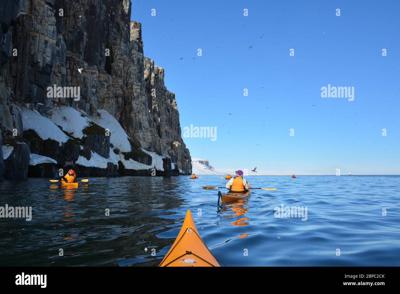 The "bird cliffs" at Alkefjellet in the Hinlopen Strait, Svalbard, are ...