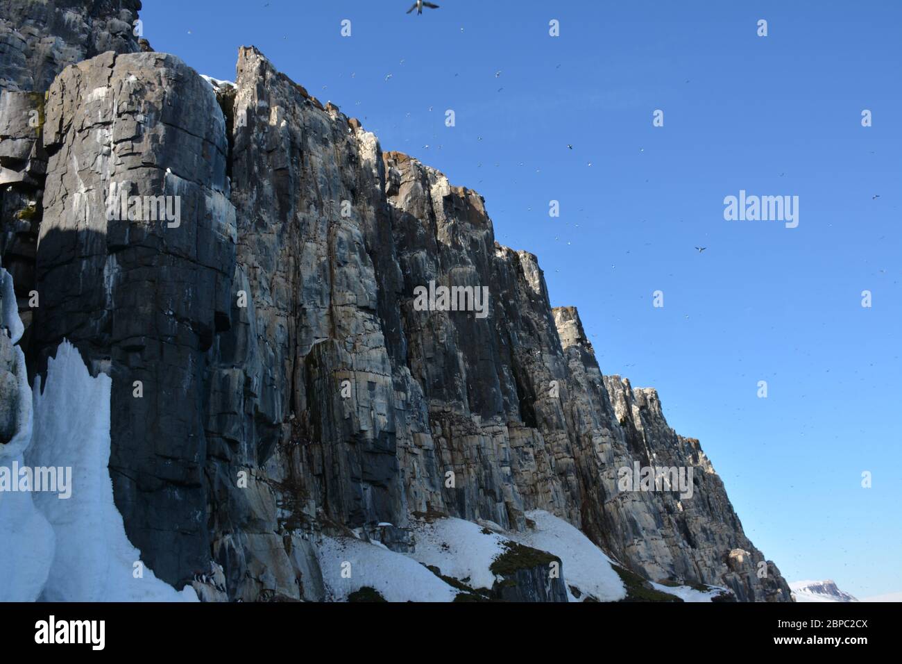 The "bird cliffs" at Alkefjellet in the Hinlopen Strait, Svalbard, are ...