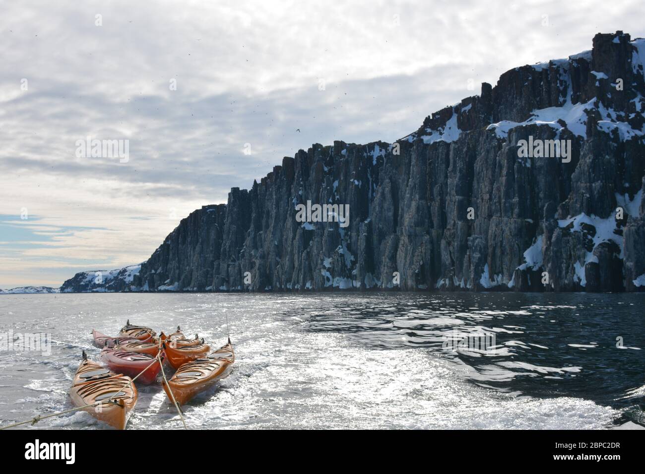 The "bird cliffs" at Alkefjellet in the Hinlopen Strait, Svalbard, are ...