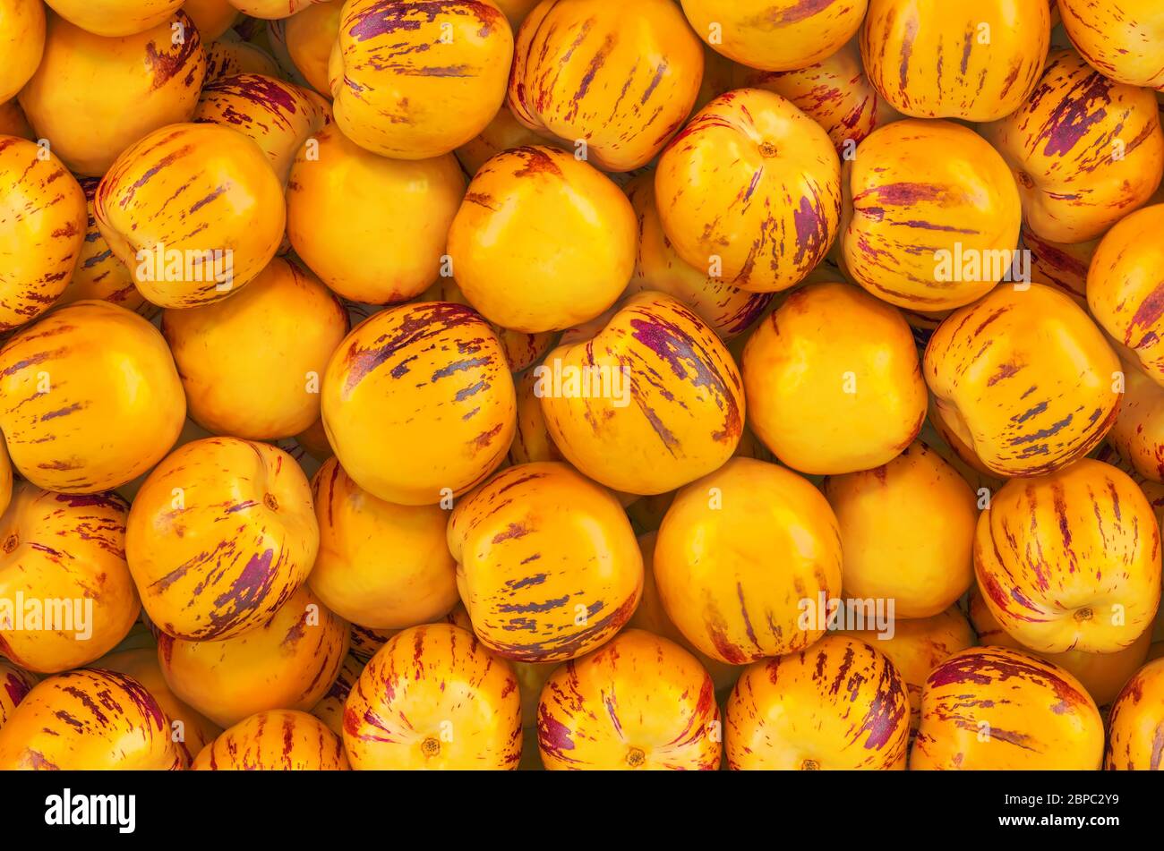 Background from pepino melons, top view. 3D rendering Stock Photo - Alamy