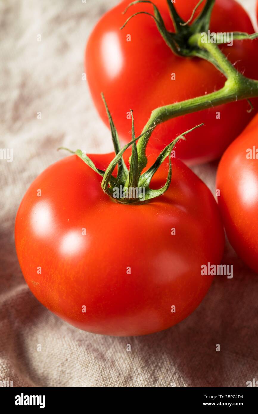 Juicy italian red tomatoes hi-res stock photography and images - Alamy