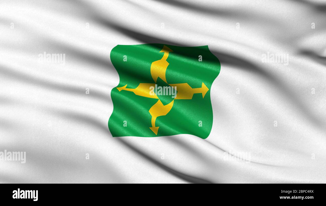 3D illustration of the Brazilian state flag of Distrito Federal waving ...