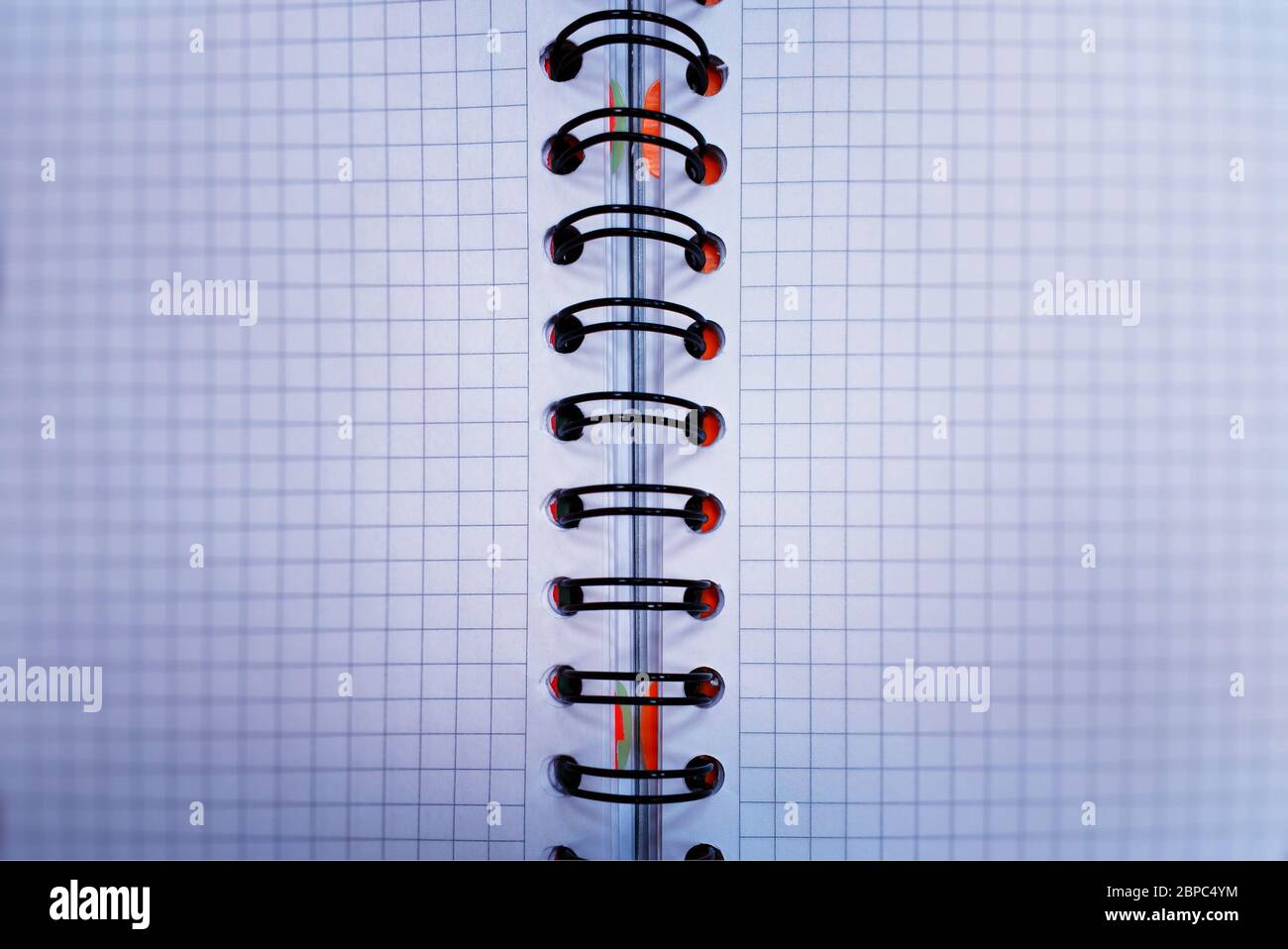 Empty checked pages of open notepad school background Stock Photo - Alamy