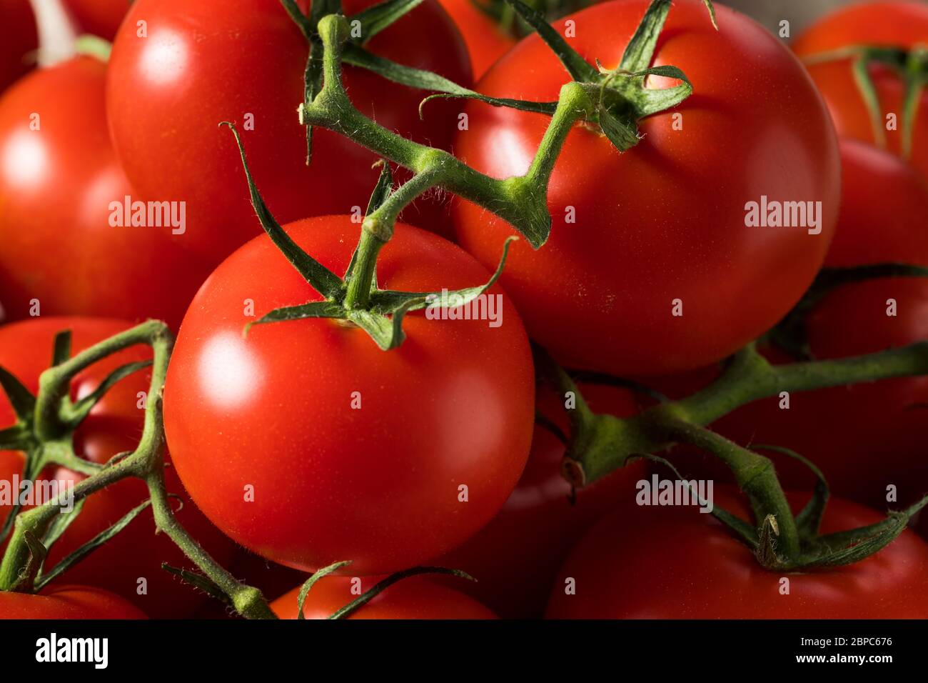 Vegetable tomatoes tomatos hi-res stock photography and images - Alamy